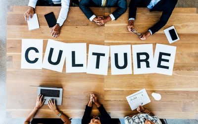 Elite Culture - Alex Demczak